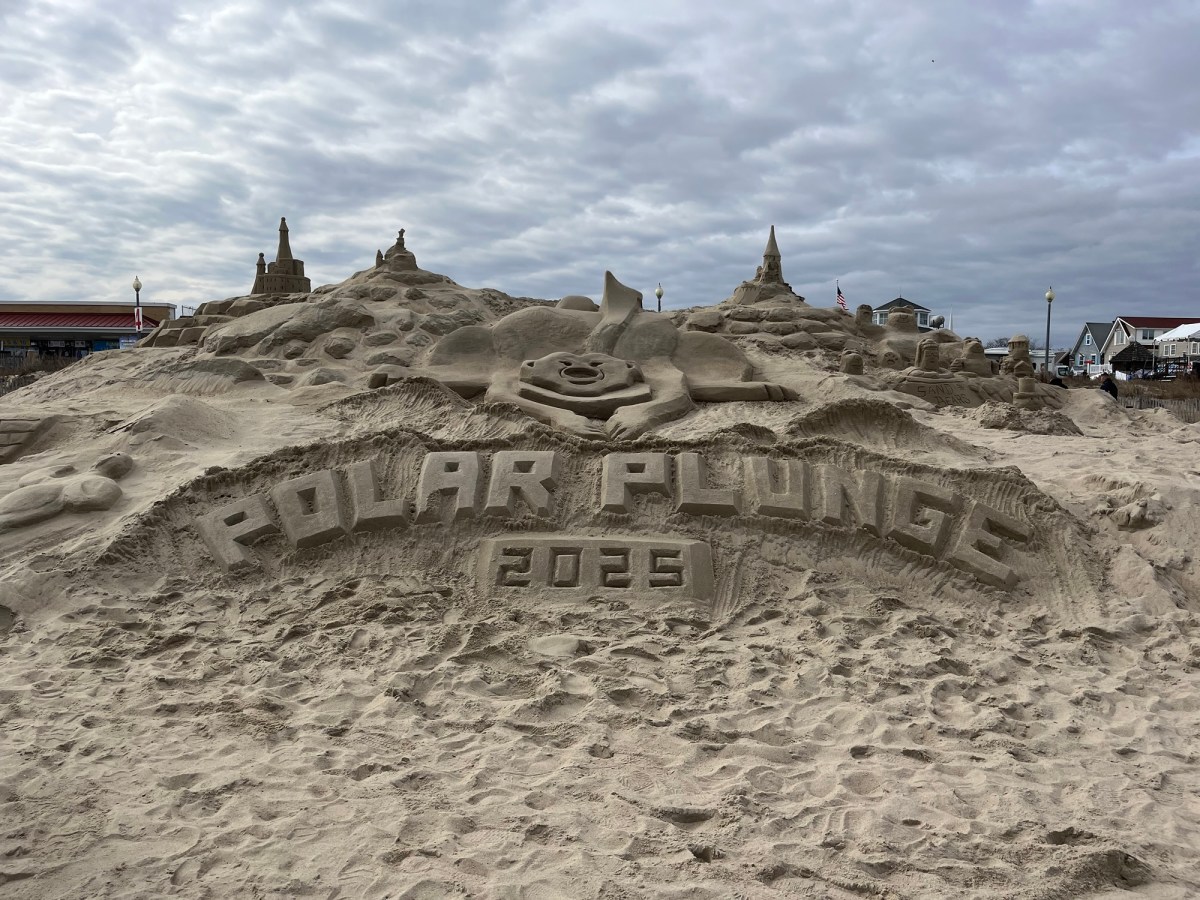 Photo Journal: The Polar Plunge – Five O'Clock Shadow